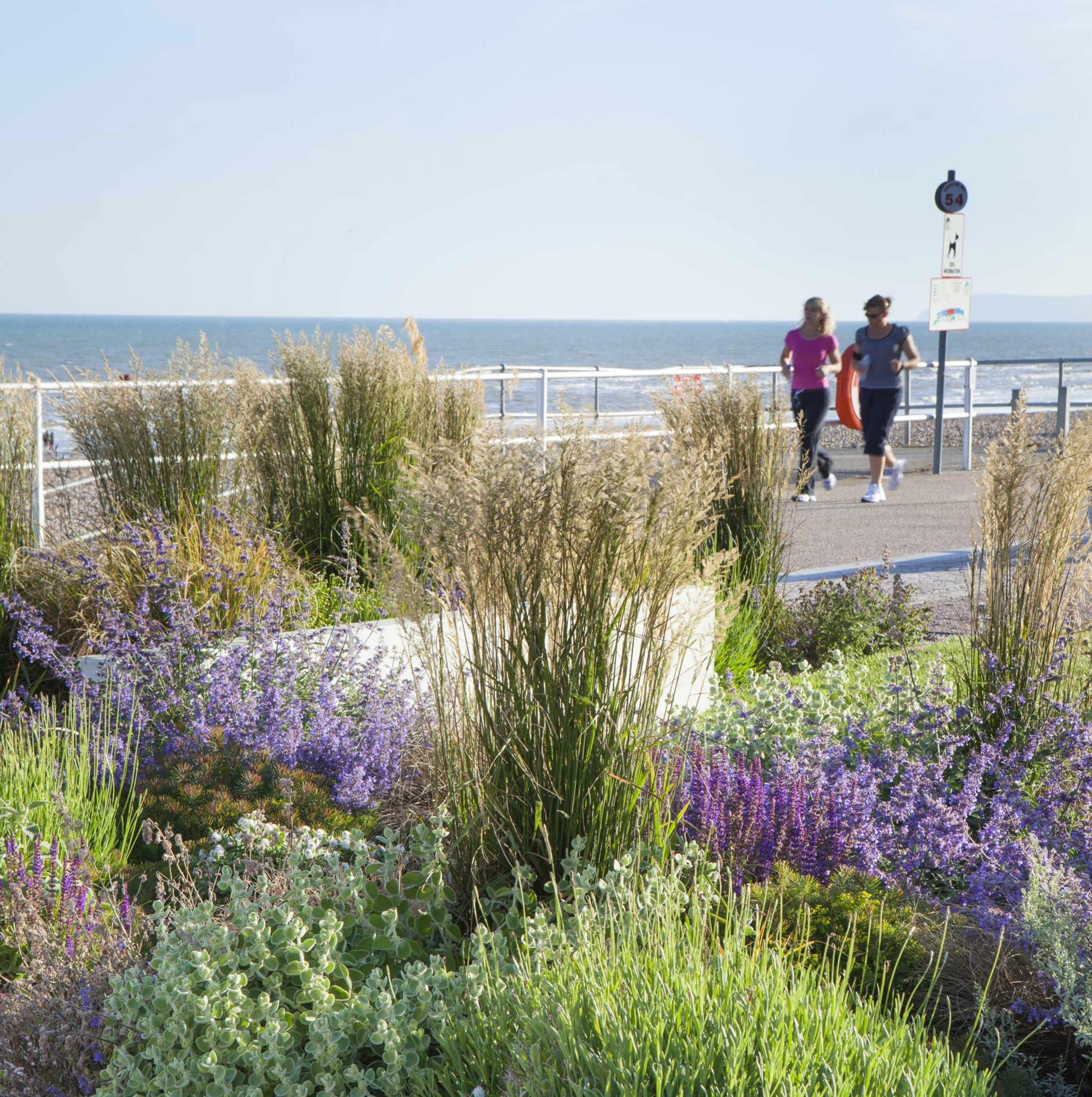 HTA Design | Bringing Nature Home – James Lord, Landscape Partner at ...